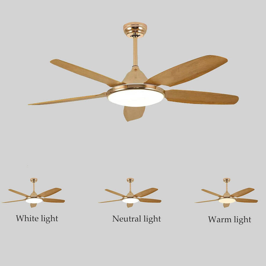 Golden Fashion Ceiling Fan – Lampech