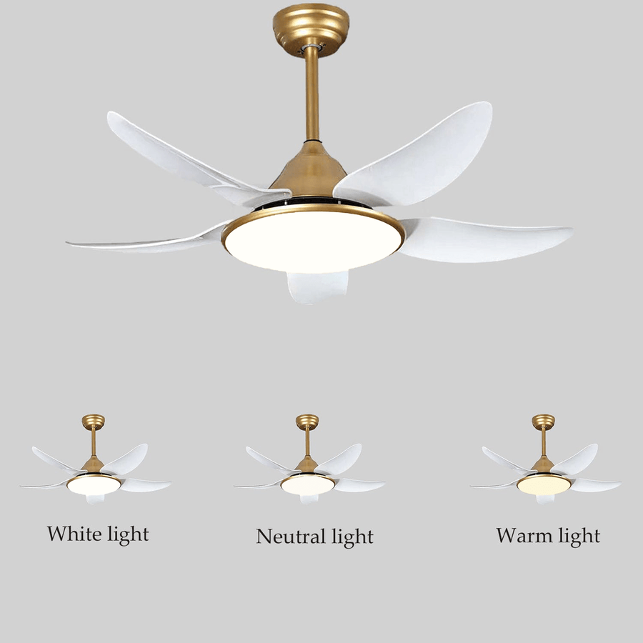 Golden Modern Ceiling Fan – Lampech